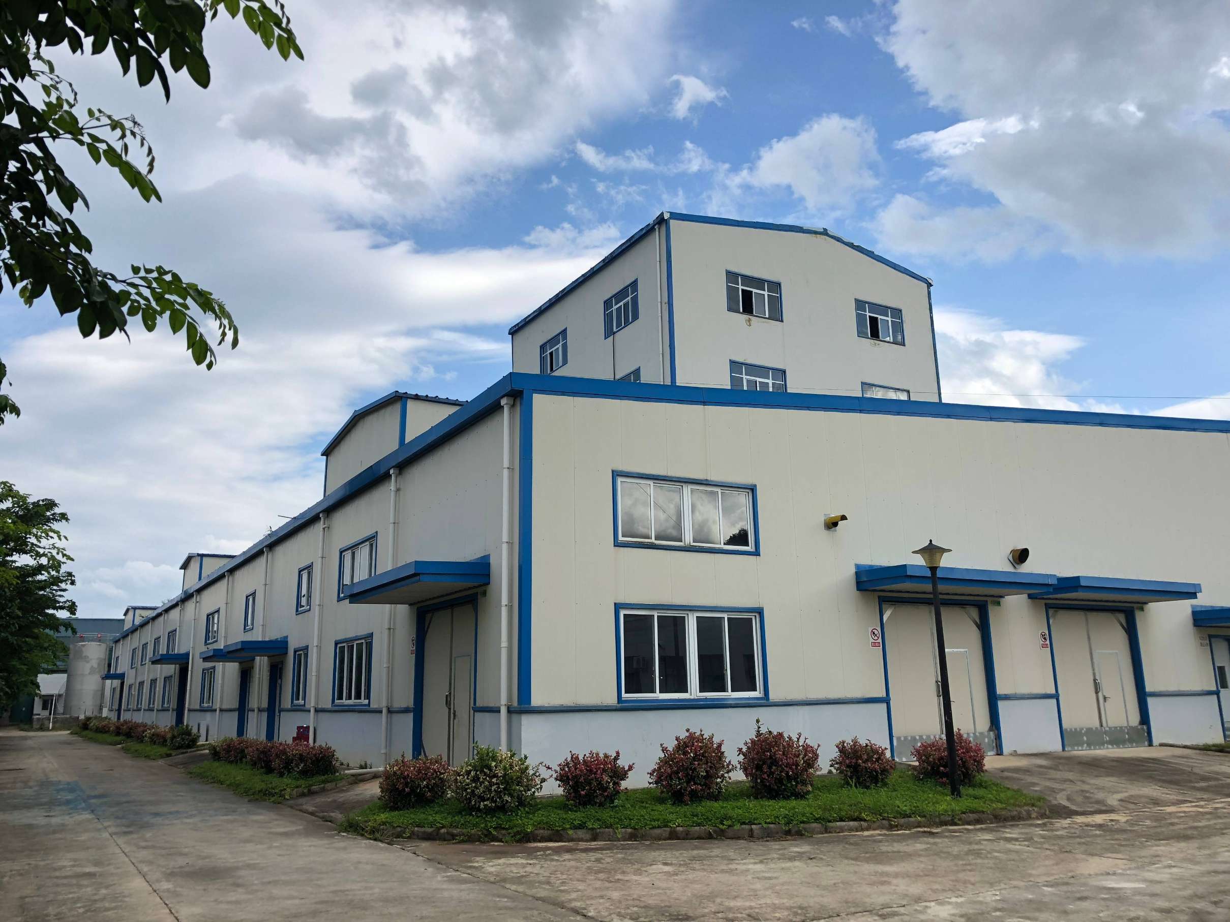 Abrasive Cloth Abrasive Belts Manufacturer Xinhongrui Abrasives